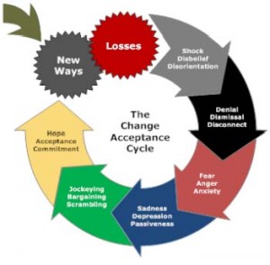 The Change Acceptance Cycle — Joseph’s blog